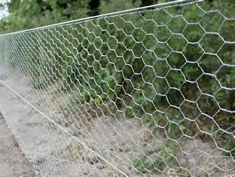 Chicken Wire Fencing For Vegetable Gardens Deer Fencing Chicken Coops