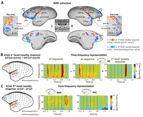 Figures And Data In Constructing The Hierarchy Of Predictive Auditory