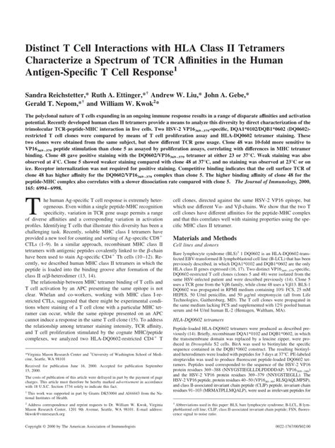 Pdf Distinct T Cell Interactions With Hla Class Ii Tetramers