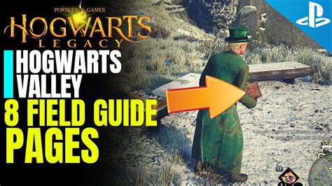 All 8 Hogwarts Valley Field Guide Pages 𝐇𝐨𝐠𝐰𝐚𝐫𝐭𝐬 𝐋𝐞𝐠𝐚𝐜𝐲 YouTube
