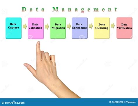 Steps Of Data Management Stock Photo Image Of Development