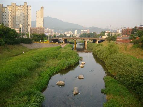기적같이 복원된 안양 학의천 청계천복원과 다르다