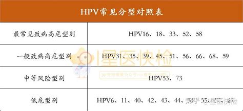hpv高危中危低危分型分别都是哪些 知乎