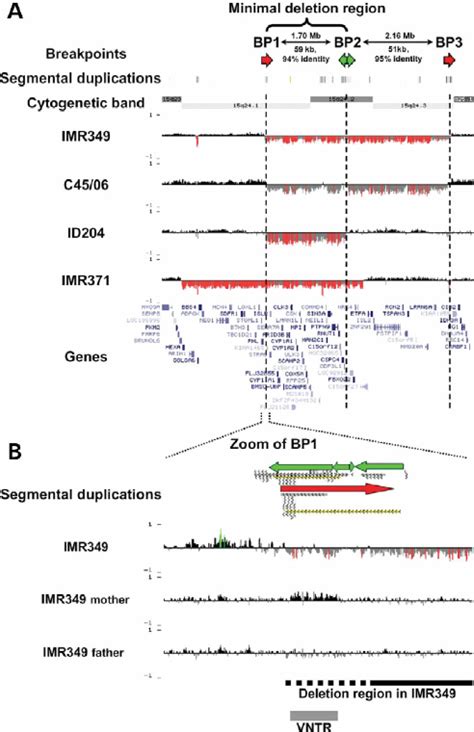 A Structural Resolution Of Four 15q24 Microdeletions Using