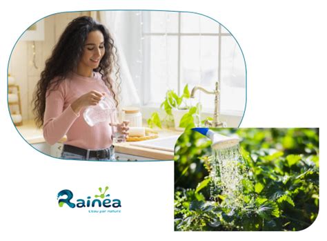 Ouvrir Une Franchise Rainéa Gestion De Leau