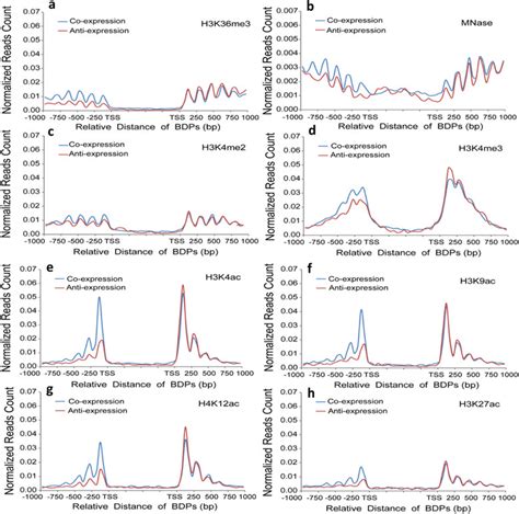 Profiling Of Histone Marks And Nucleosome Occupancy Between Coexpressed
