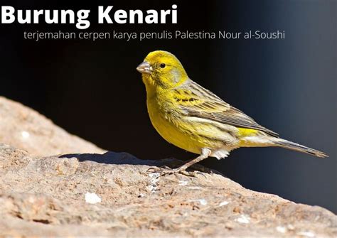 Burung Kenari Cerpen Terjemahan · Karyakarsa