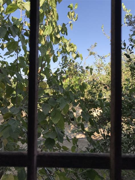 Alaa Saad Alaa14saad Twitter