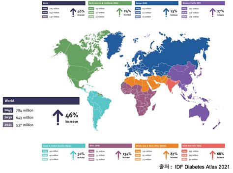 이미지 세계 당뇨병 환자의 분포 및 증가 추이