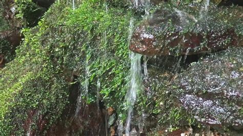 Relaxing Water Sounds Nature Sounds Meditation Sleep Sound Youtube