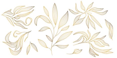 금 물결 모양의 잎 절연 식물 분기 선 그림 고급 단풍 장식의 벡터 세트입니다 빈티지 장식 요소 정글 여름 배경 가을에 대한 스톡 벡터 아트 및 기타 이미지 Istock