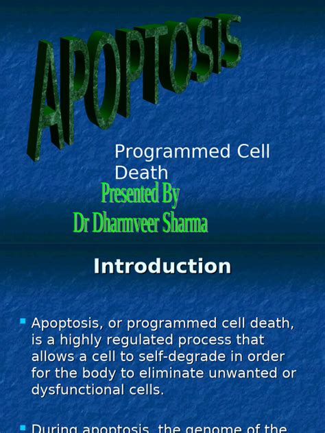Apoptosis Pdf Apoptosis Cell Biology
