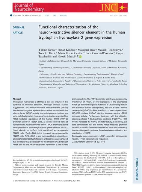 Pdf Functional Characterization Of The Neuron Restrictive Silencer