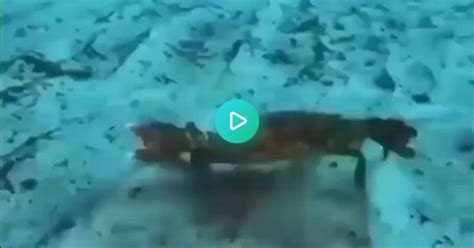 Its The 29th Of July Mr Krabs Album On Imgur