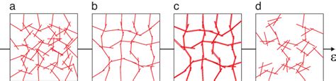 Percolation Regimes And Underlying Percolation Networks A