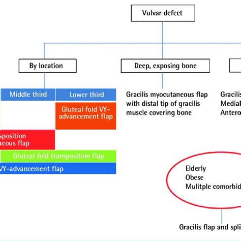 Algorithm For Reconstruction Of Vulvar Defect Download Scientific Diagram