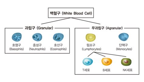 Smt Bio 고객센터 언론보도