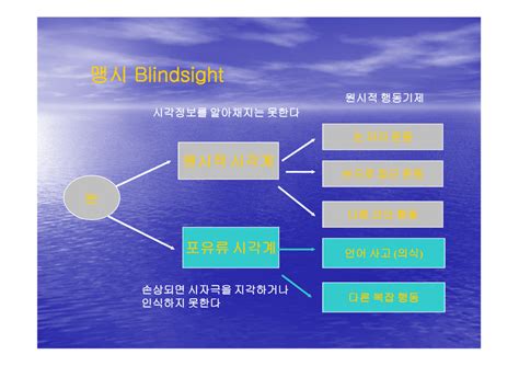 정서 Emotion개론 인문교육