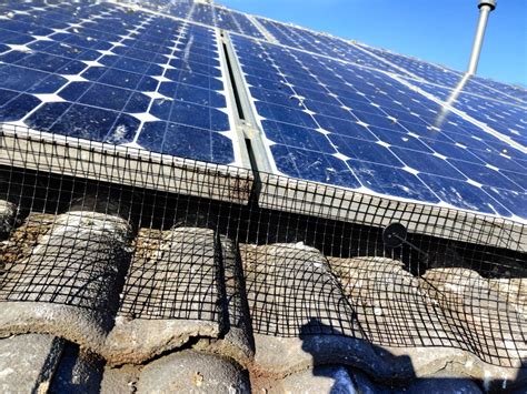 Solar Panel Bird Proofing Melbourne Inspection And Removal Formula