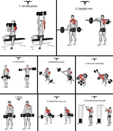 Упражнения на спину в тренажерном зале