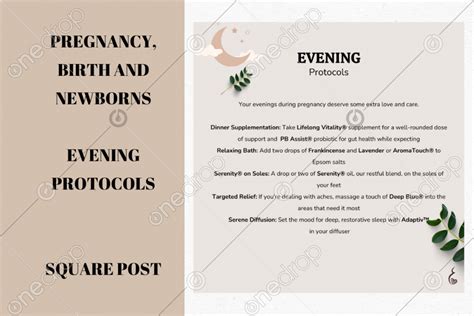 Evening Protocols Pregnancy Collection By Latifa Majedi