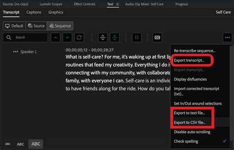 How To Transcribe Audio In Premiere Pro