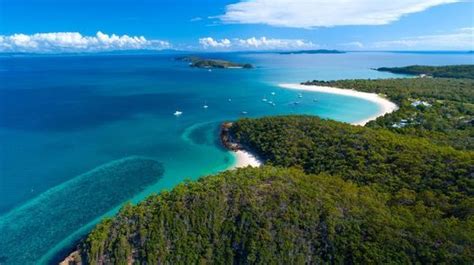 The Black Sorrows Live On Great Keppel Island Online February 18 2022