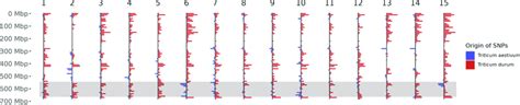 Distribution Of Species Specific Snps Along Chromosome 1b Of All