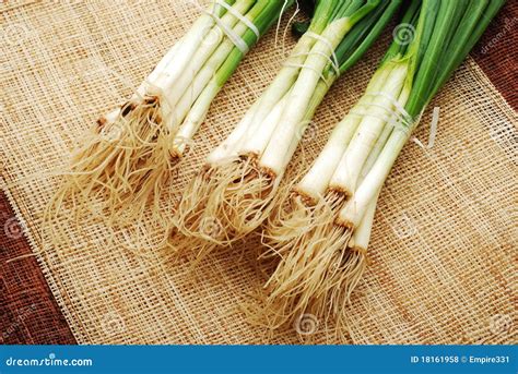 Spring Onion Stock Photo Image Of Spring Nutrition