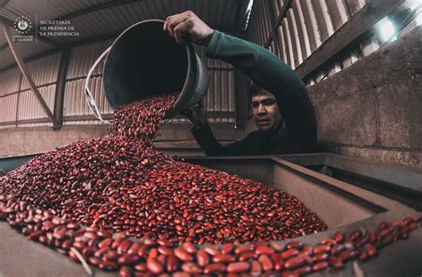 Cualquier alza al precio de los frijoles está prohibida ya que hay suficiente abastecimiento