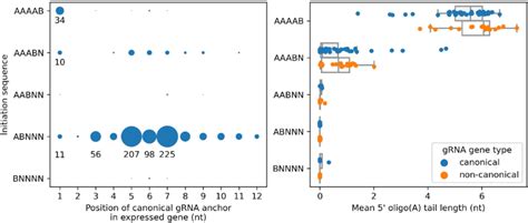 A Association Between The 5 Nt Transcription Initiation Sequence And
