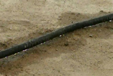 Anti Termite Piping System All India Pest Control In Laxmi Nagar