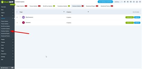 Database Updater Mainwp Wordpress Management