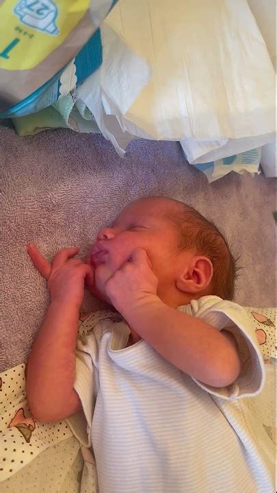 Яблуко 🍎 від яблуні 🌳 Youtube