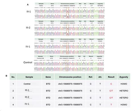 A Chromatogram Of Sanger Sequence Analysis Showing That In III 1