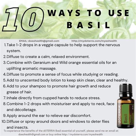 10 Uses Of Dōterra Basil Essential Oil