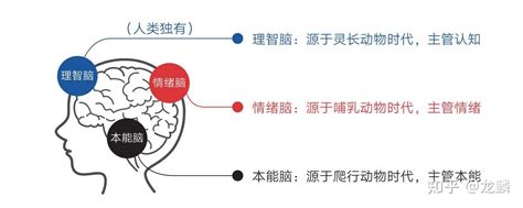 你的认知觉醒了吗？（一） 知乎