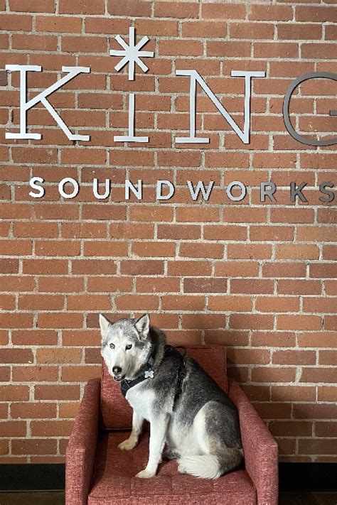 King Soundworks Crew Moxee