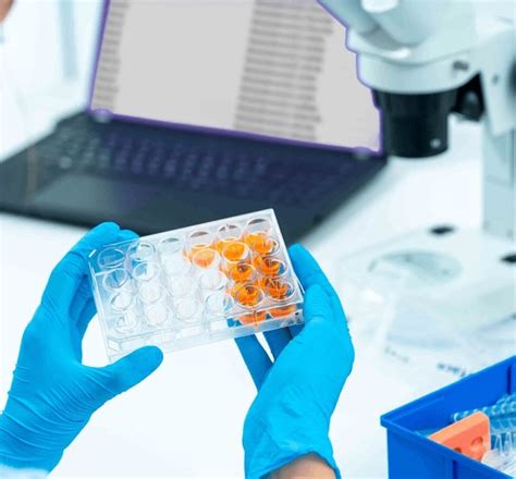 48 Cell Based Assays Royalty Free Photos And Stock Images Shutterstock