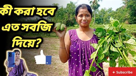 এত সবজি দিয়ে কি রান্না করলাম আজ আমার বোন নিজের উপার্জন এ একটা দারুন