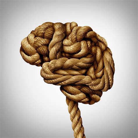 Epilepsy Symptom And Treatment