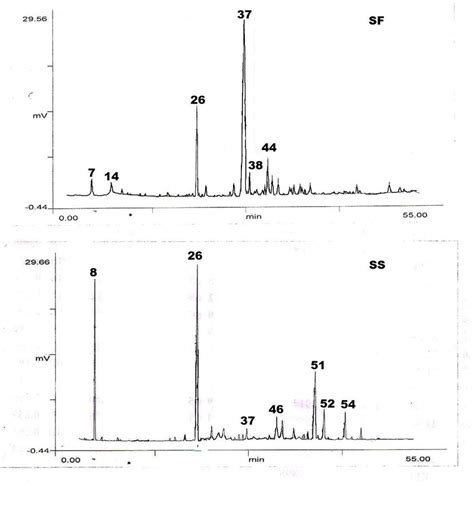 8 Gas Chromatograms Of Saliva Plebeia Flower Oil Collected From