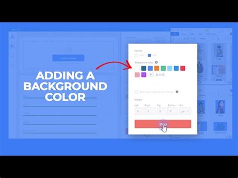 Removal AI Bulk Background Remover App For Mac Windows