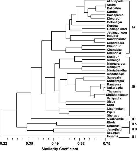 Dendrogram Of Ysb Populations Constructed Using Upgma Based On Bands