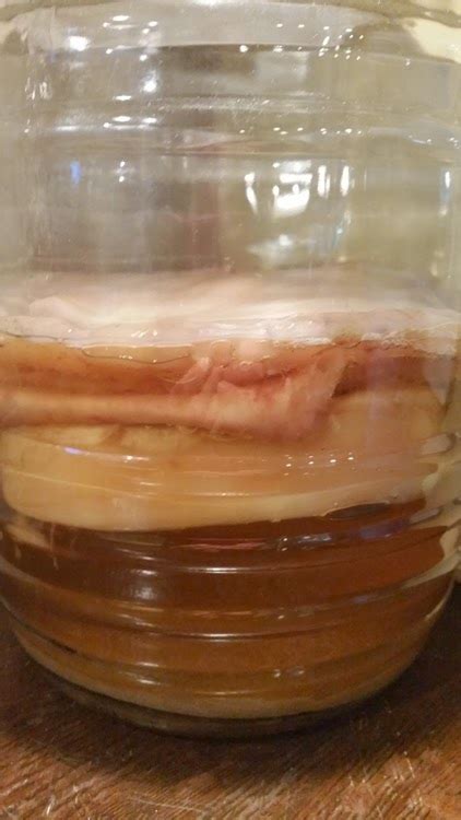Wolf Peach Farm Dehydrated Jun Scoby Gummy Snacks
