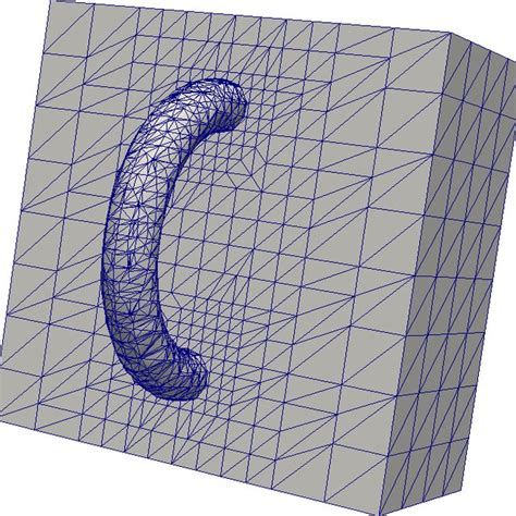 Cross Section Of The Bulk Mesh And Induced Surface Mesh Download