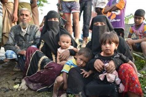 Rohingya Influx India Launches Campaign Against Border Touts