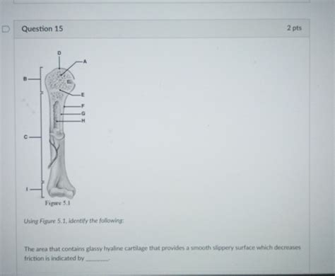 Solved Question 152 PtsUsing Figure 5 1 Identify The Chegg