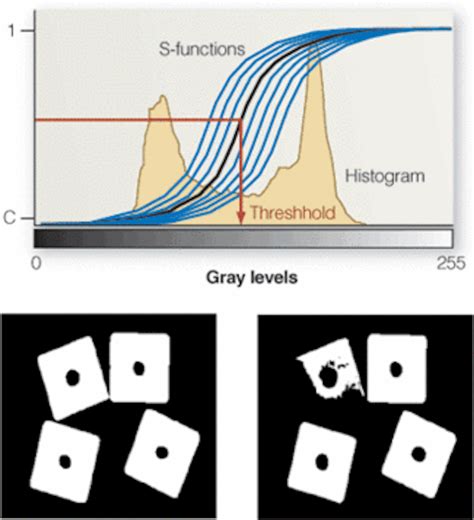Using Fuzzy Logic In Image Processing Vision Systems Design