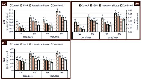Effect Of Application Of Pgpr Potassium Silicate And Their Combination